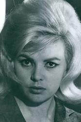 Monique Hennessy | ScreenTies